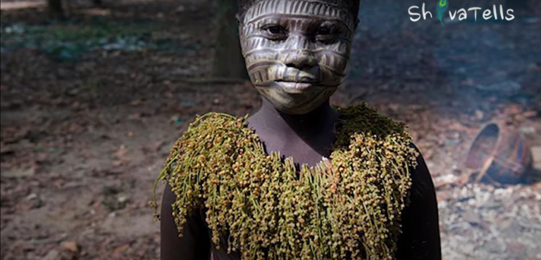 Jarawa Tribe in Andaman: Culture and connection with nature