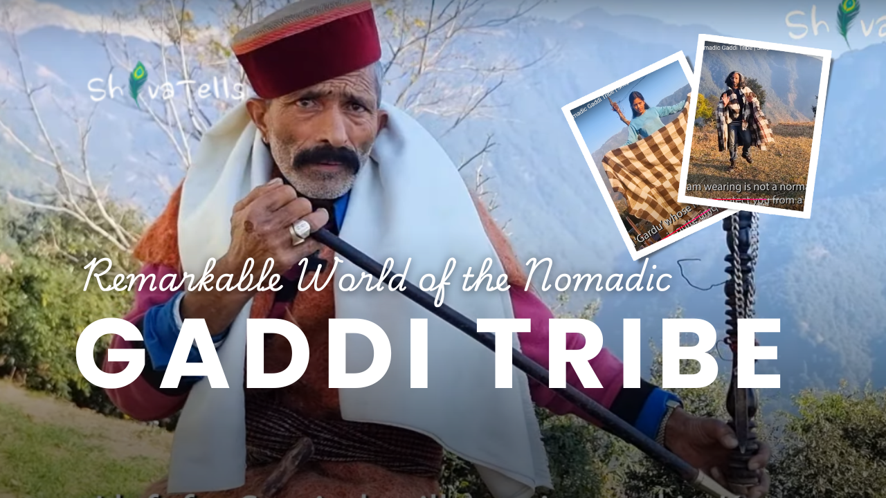 Explore the Nomadic Gaddi Tribe of Himachal