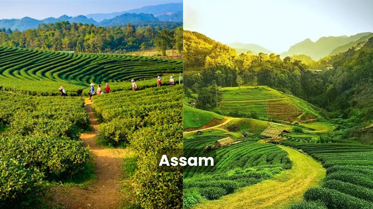 Forgotten Kingdom of Assam: Tribal Traditions & Monasteries